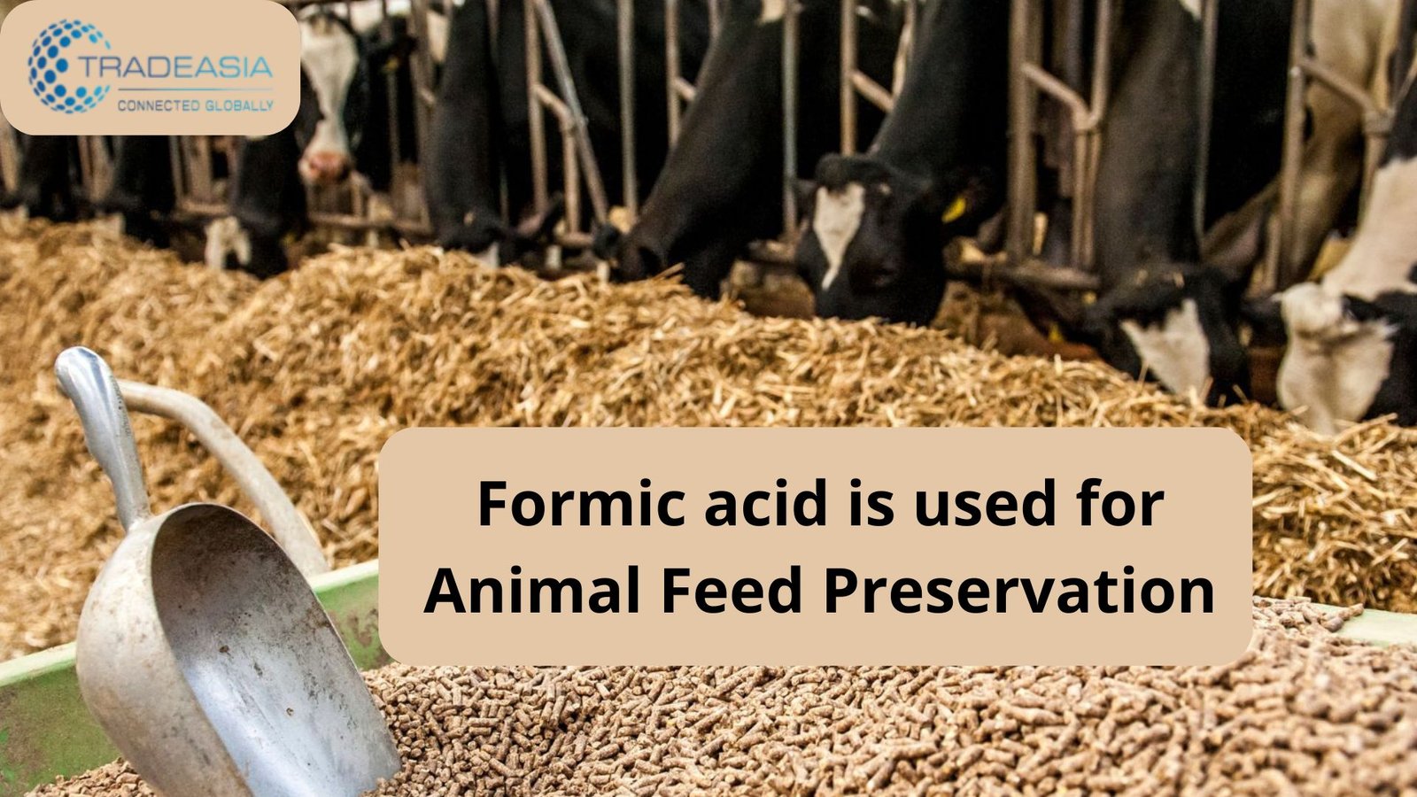 Formic acid is used for Animal Feed Preservation – Formic Acid ...